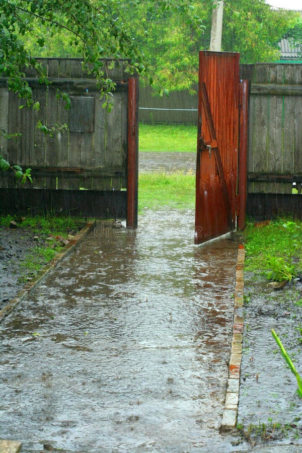 Summer Showers stock photo. Image of downpour, farm, nature - 7781204