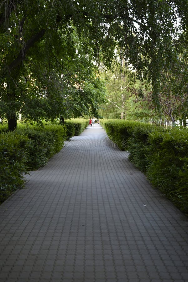 Summer Sidewalk and Park in the City. Beautiful Sidewalk and Narrow ...