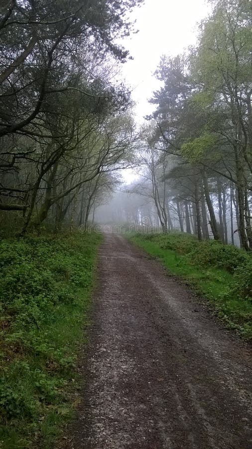 Summer in Sidmouth Down a Dusty Path Stock Image - Image of landscape ...