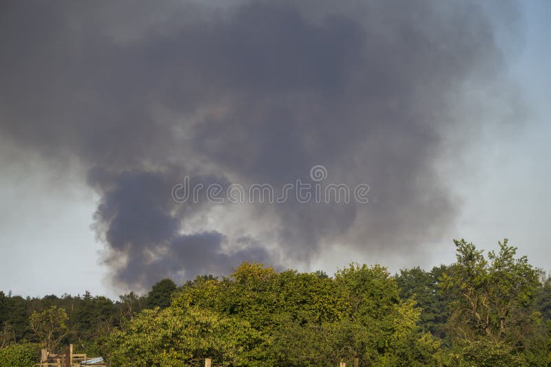 Column of Smoke from a Developing Forest Fire Stock Image - Image of ...