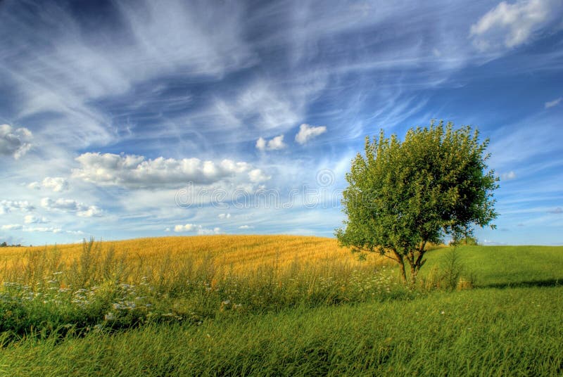 Summer sky stock image. Image of clouds, summer, sunlight - 21894135