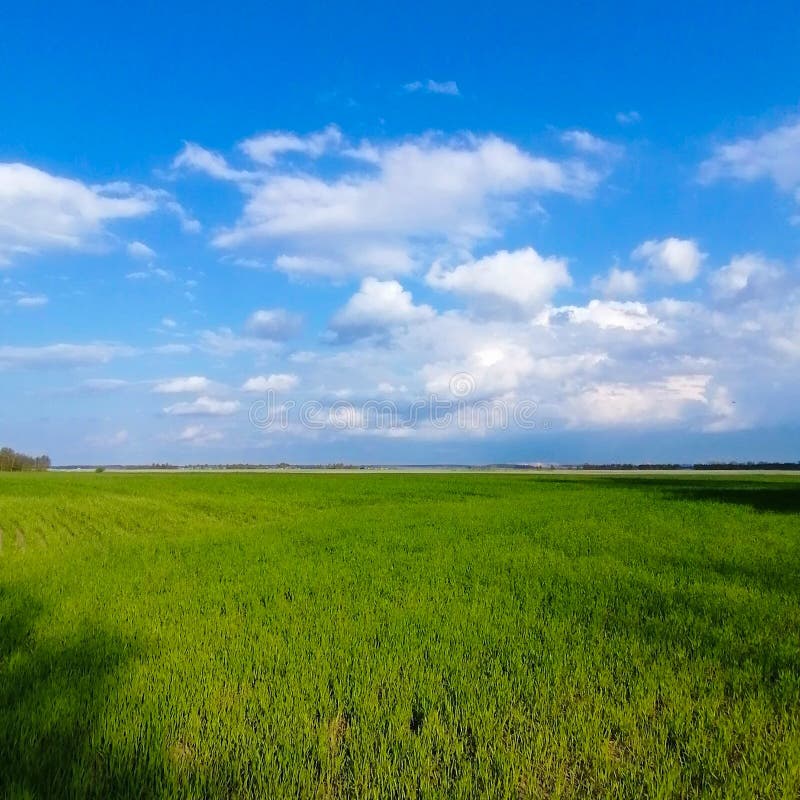 Summer, Sky, Field, Sun, Horizont Stock Photo - Image of prairie, hill ...
