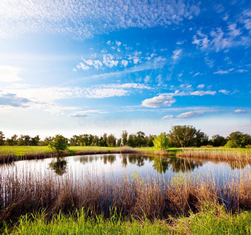 Summer small lake stock image. Image of water, adventure - 54189015