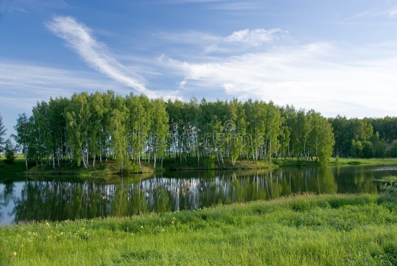 Lake scenery panorama stock image. Image of summer, trees - 3023581