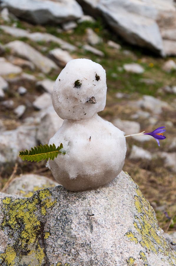 Summer Snowman Portrait stock photo. Image of clean, mountain - 25741272
