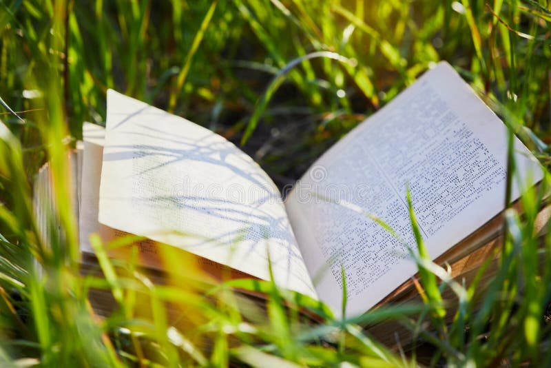 Summer Spring Background with Open Book. Back To School Stock Photo ...