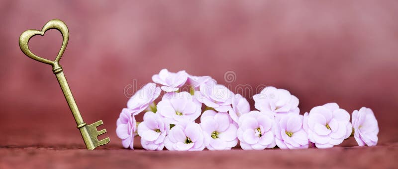 Summer, Spring Concept, Gold Key and White Pink Flowers, Web Banner ...