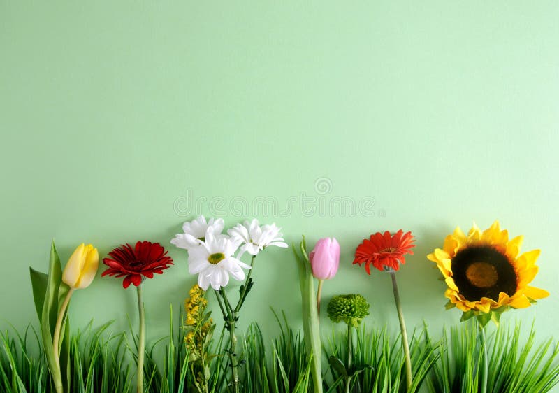 Summer Spring Flower Growth Stock Photo - Image of view, copy: 176810728