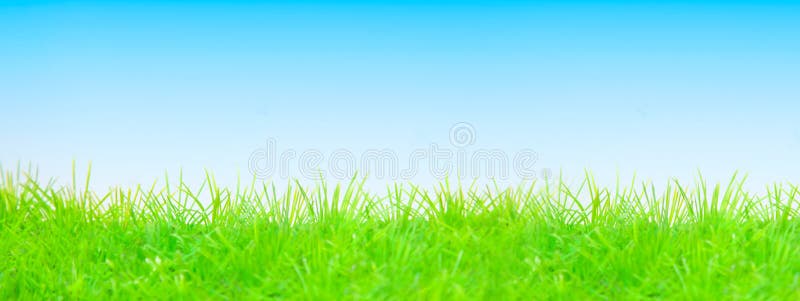 Summer spring green blue stock photo. Image of beautiful - 53166594