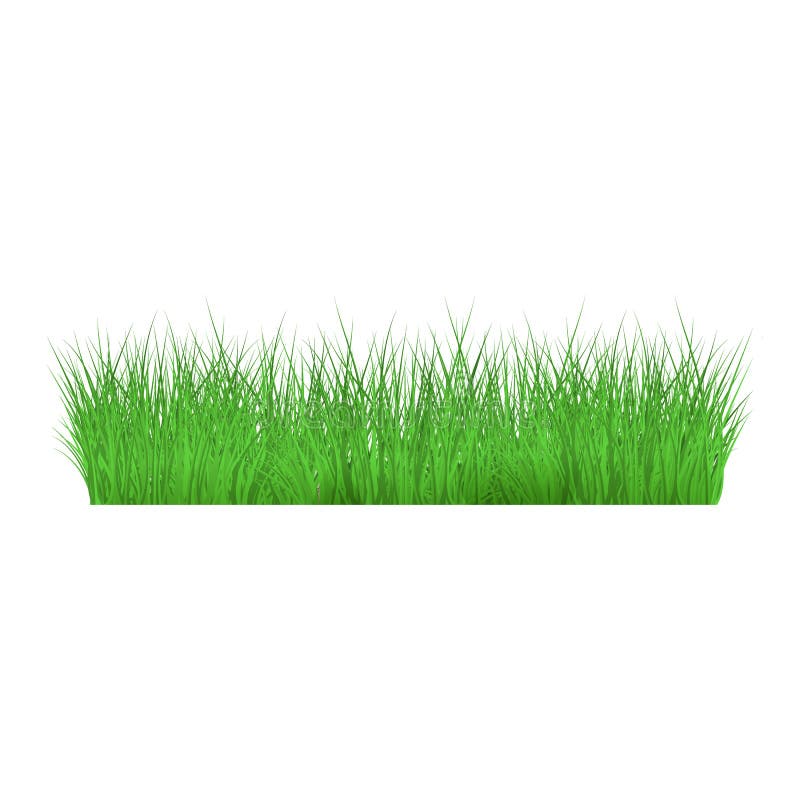 Summer, Spring Floral Lush Green Grass and Lawn Seamless Border on ...