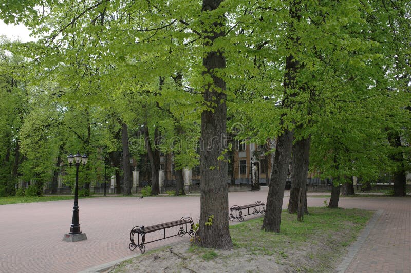 A Summer Square with Trees and a Path. Editorial Photography - Image of ...