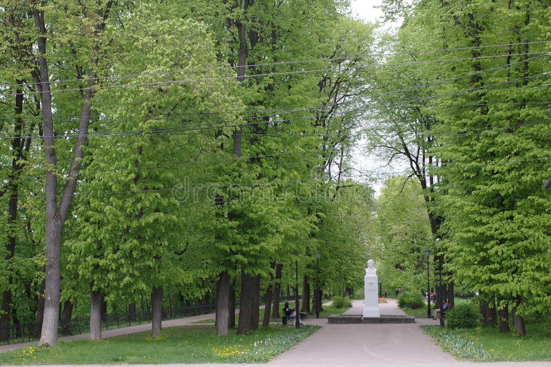 A Summer Square with Trees and a Path. Editorial Stock Photo - Image of ...