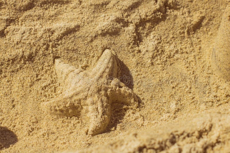Summer Star Sand Texture stock photo. Image of ocean - 63489376