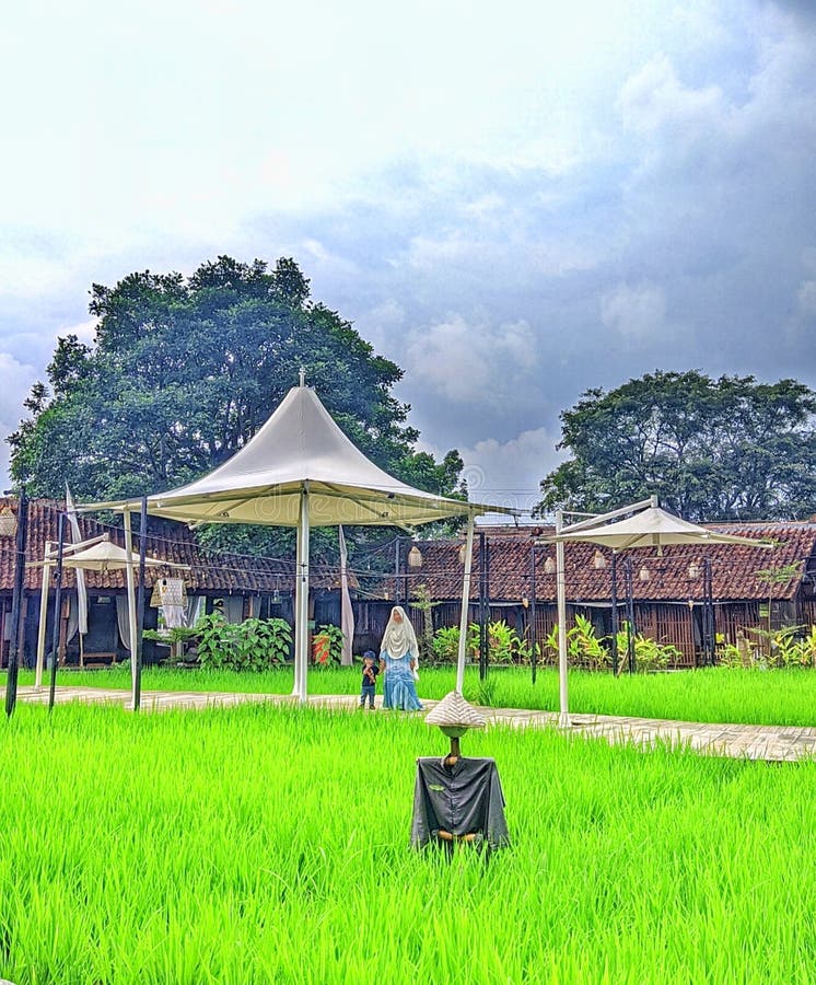 Summer staycation family editorial stock photo. Image of family - 265261448