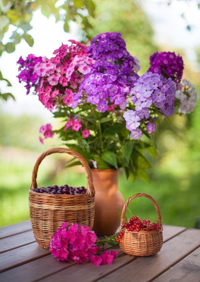 Summer Still Life in the Country. Stock Image - Image of beauty, summer ...