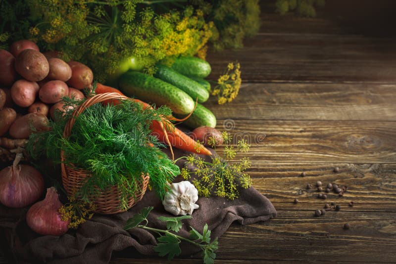 Summer Still Life of Ripe Vegetables and Dill. Stock Photo - Image of ...