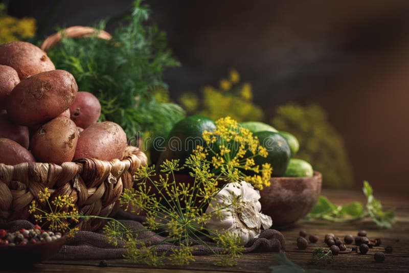 Summer Still Life of Ripe Vegetables and Dill. Stock Photo - Image of ...