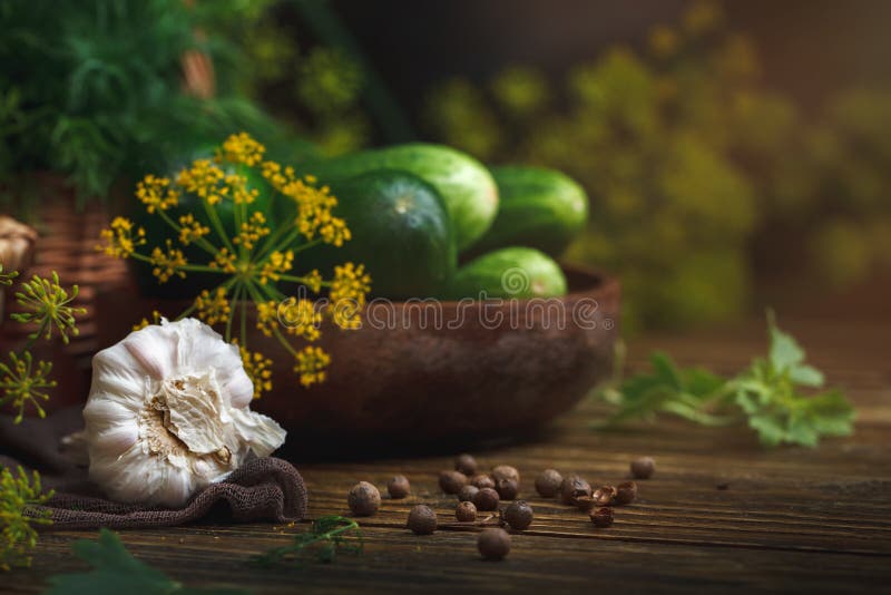 Summer Still Life of Ripe Vegetables and Dill. Stock Photo - Image of ...