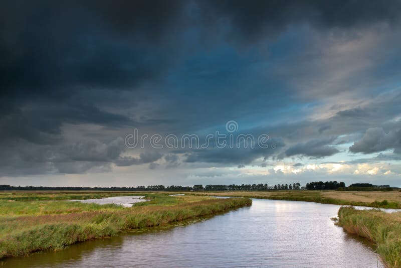 Marsh at dusk stock image. Image of south, bird, marsh - 485265
