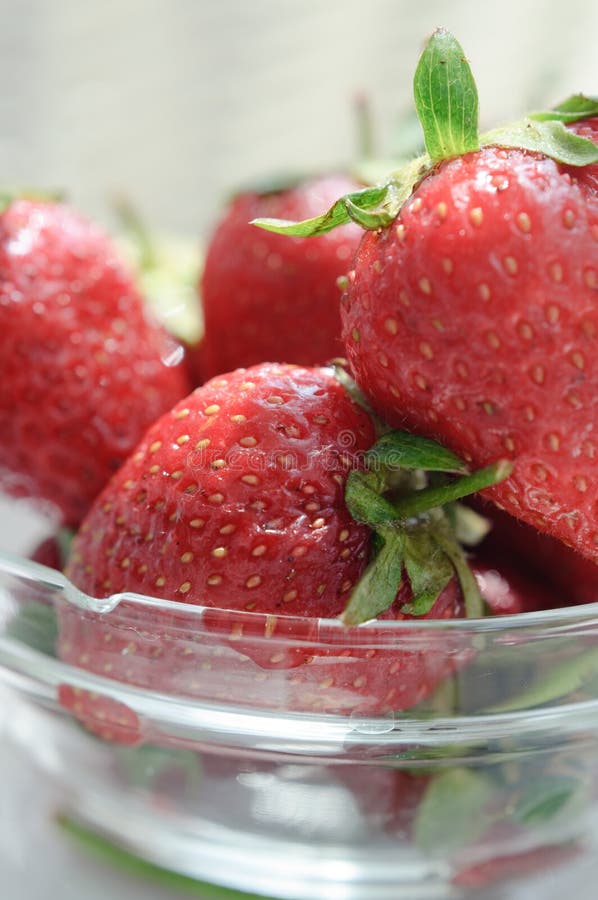 Summer strawberries stock photo. Image of energy, refreshment - 19731292