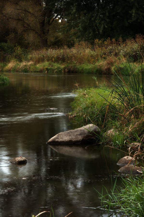 Summer Stream stock image. Image of water, forest, rocks - 18085645
