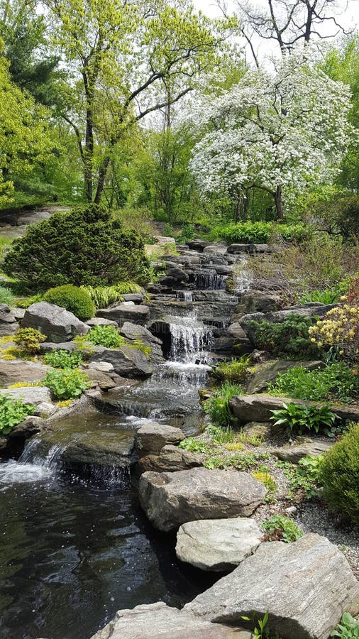 The summer stream flows stock photo. Image of trees - 266194094