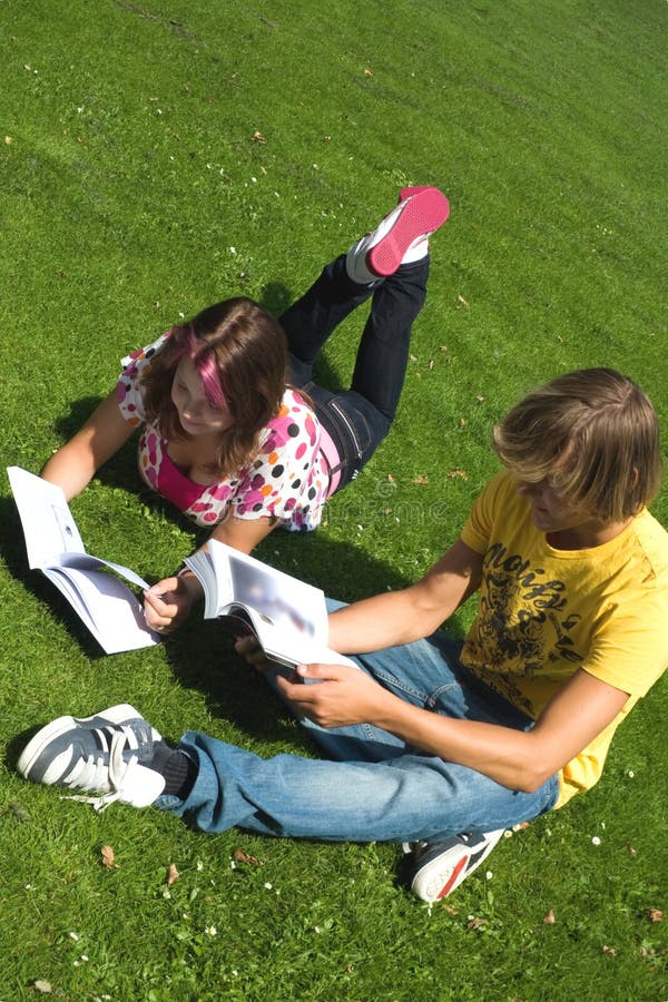Summer study stock image. Image of dutch, reading, field - 6074035