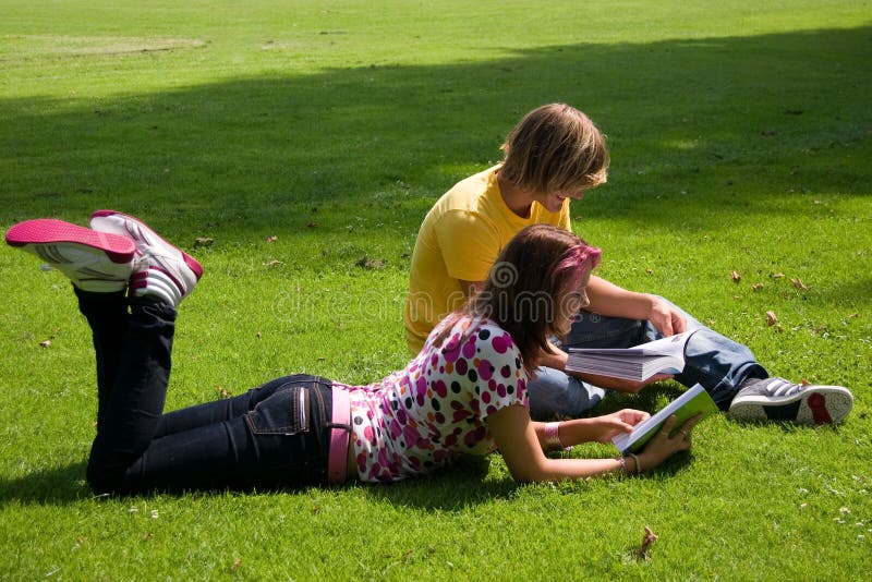 Summer study stock image. Image of sitting, green, read - 6084127