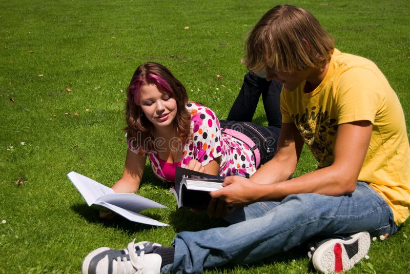 Summer study stock photo. Image of adults, smiling, happy - 6084130