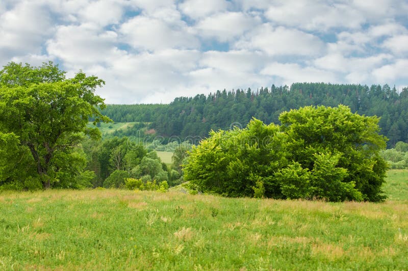 Summer, Summertime, Summer-tree Stock Photo - Image of cloud, hill ...