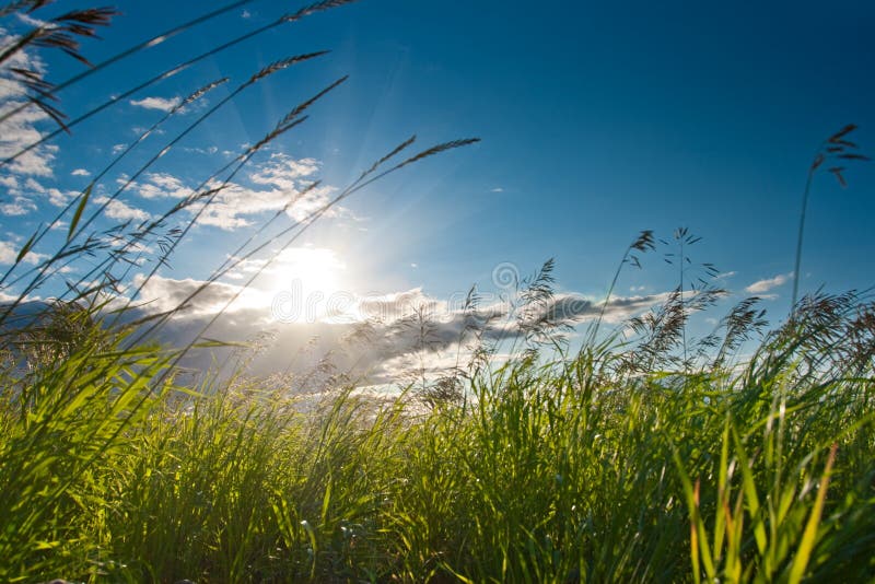 Volcano eruption stock image. Image of evening, escarpment - 3075485