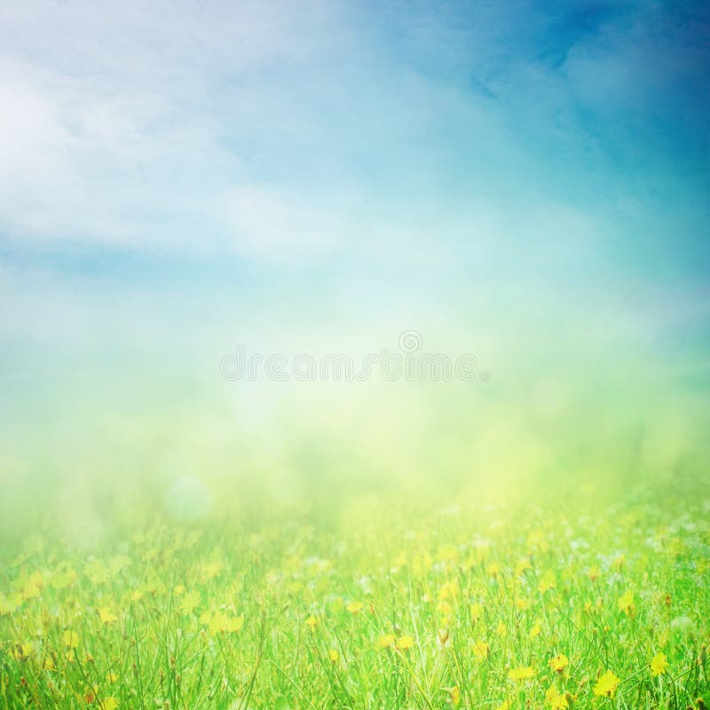 Summer sunny field stock photo. Image of lawn, land, grass - 38842854