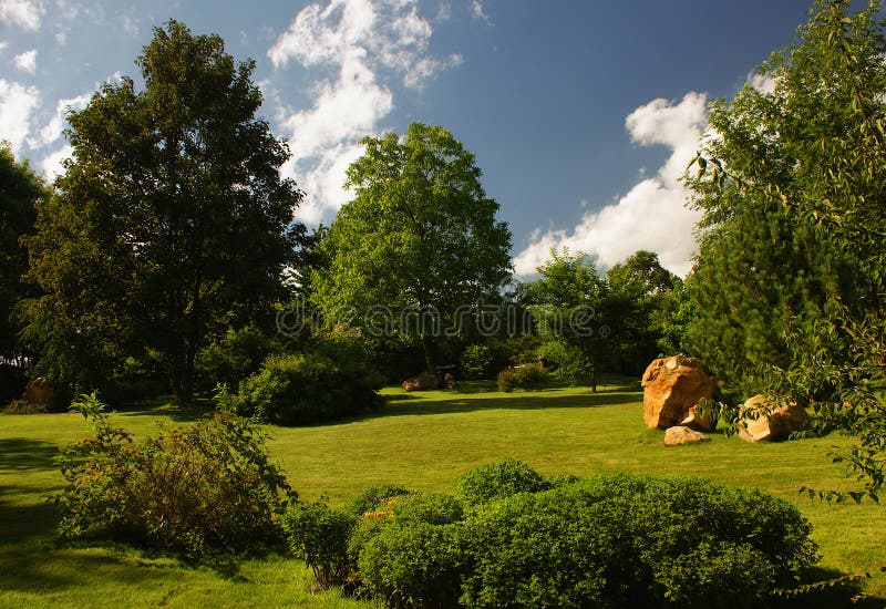 Summer sunny garden stock photo. Image of garden, beauty - 9366746