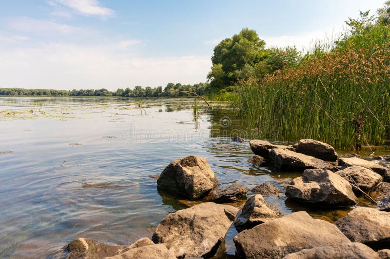 Summer sunny landscape. stock image. Image of river - 288256477