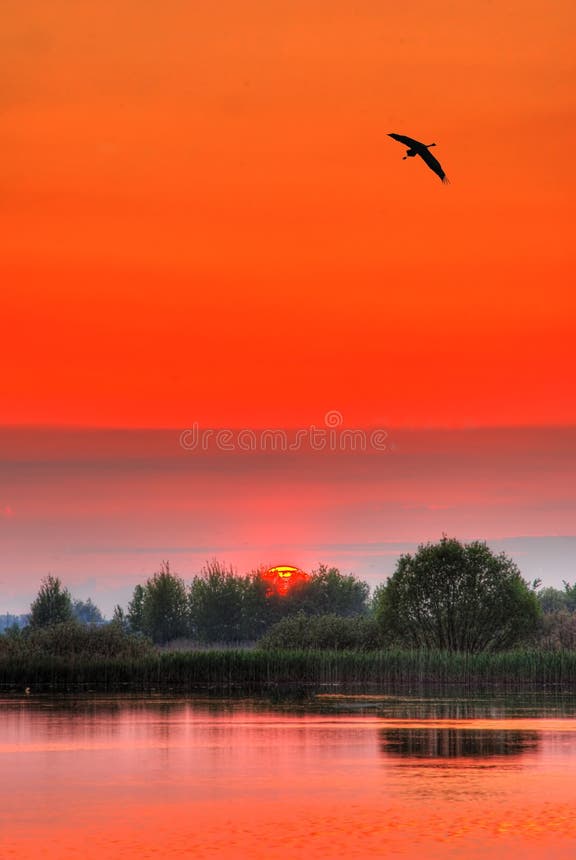 Summer sunset stock image. Image of purity, dusk, pond - 2531135