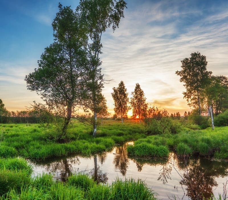 Sunset Over the River in the Forest Stock Image - Image of beauty ...