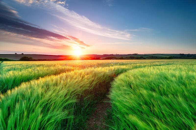 Summer Sunset in Cornwall stock photo. Image of background - 93938398
