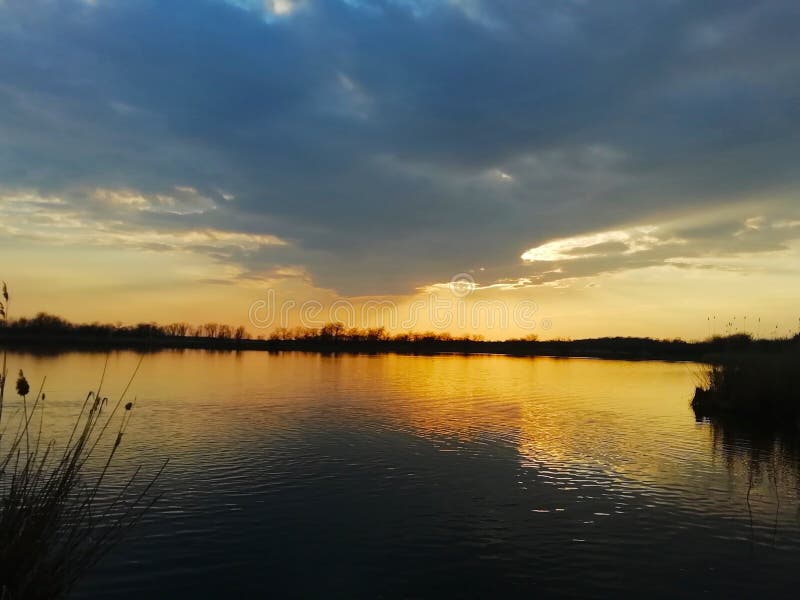 Summer Sunset in Nature, Illuminated River Bank Stock Photo - Image of ...