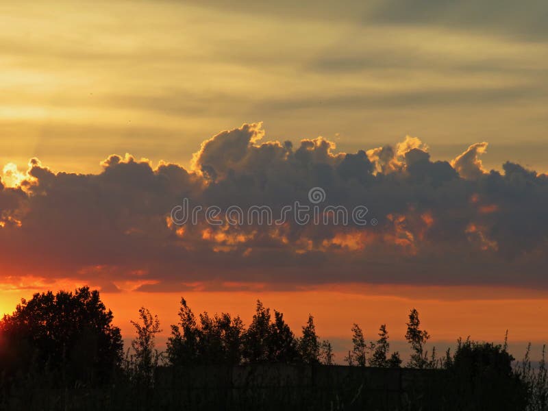 Summer Sunset Over the Field Stock Image - Image of beautiful, natural ...
