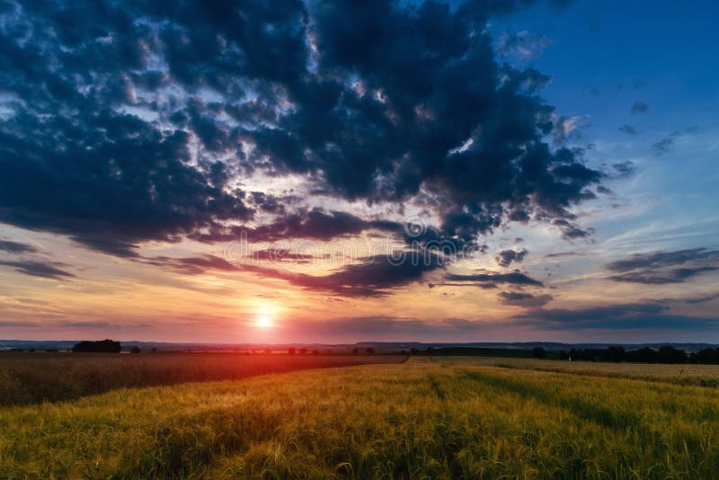 Grass field sunset stock photo. Image of clean, field - 7692132