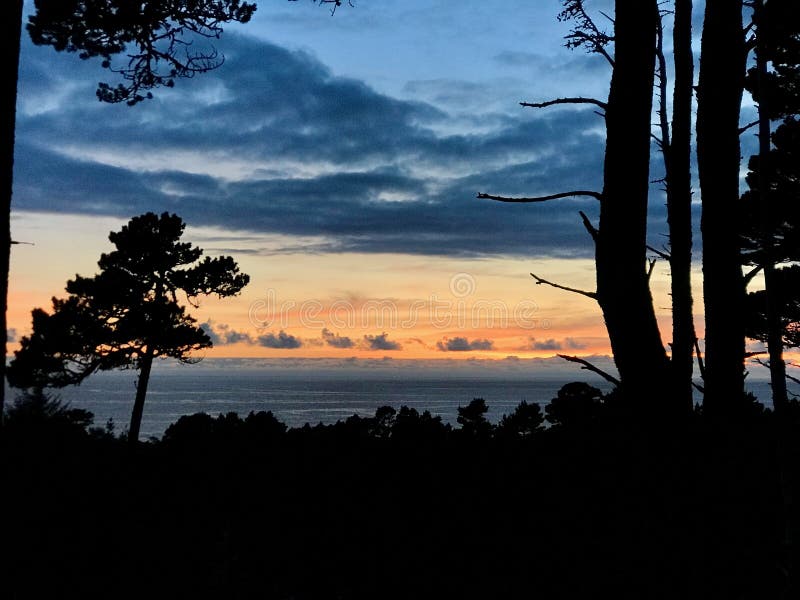 213 Sunset Evergreen Tree Silhouettes Stock Photos - Free & Royalty ...