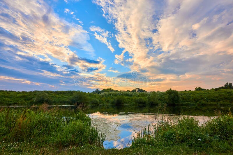 Summer Sunset Over Over the Overgrown Green Pond Stock Photo - Image of ...