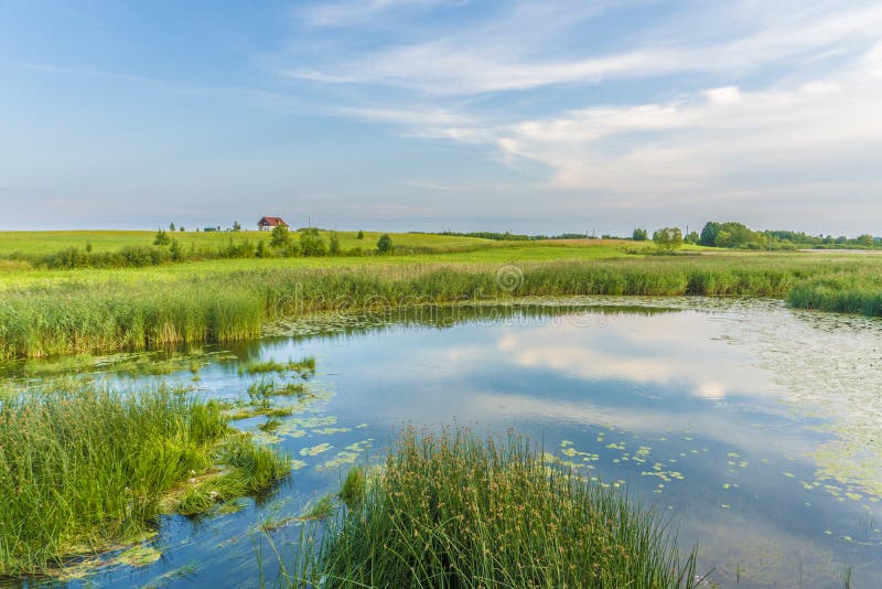 Summer Sunset Over Rural Pond or Overgrown Lake Stock Photo - Image of ...