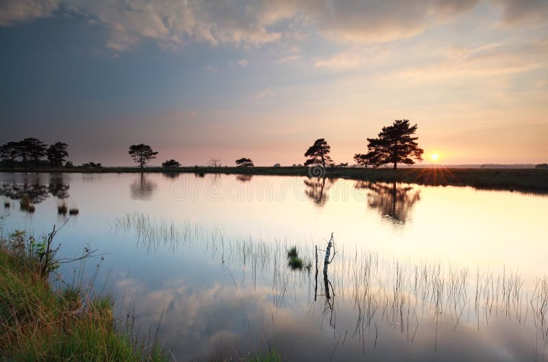 Summer Sunset Over Wild Lake Stock Photo - Image of pond, cloud: 74642202