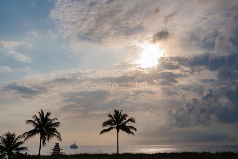 Summer Sunset with Palm Trees in Miami Stock Photo - Image of exotic ...
