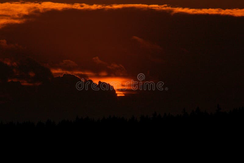The Magic Sunset Over the Forest Landscape.. Stock Image - Image of ...