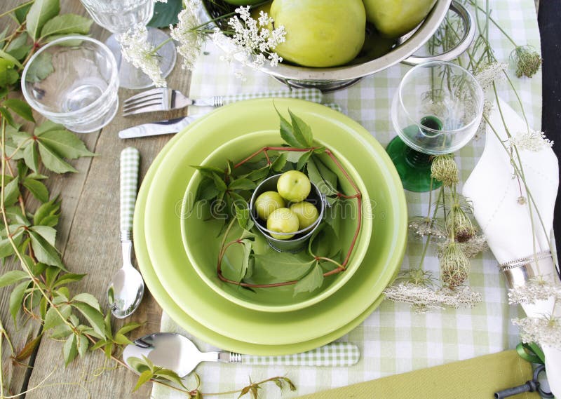 Summer table setting stock image. Image of garden, dinner - 20458377