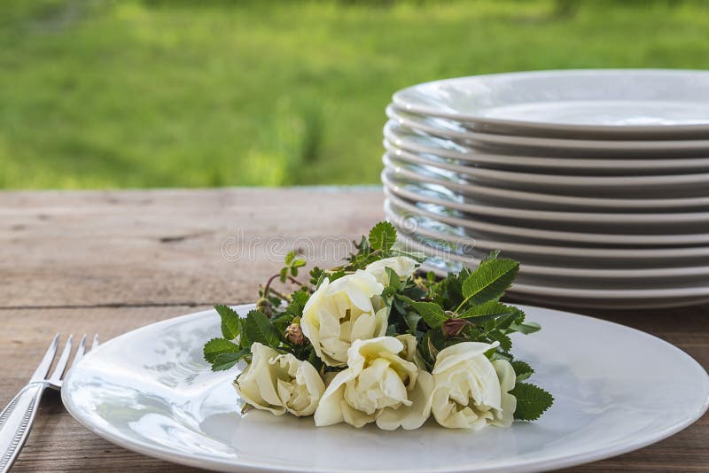 Summer Table Setting with White Wild Rose Flowers Stock Image - Image ...