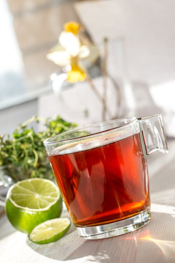 Summer tea stock photo. Image of vegetarian, spring, thyme - 39256992