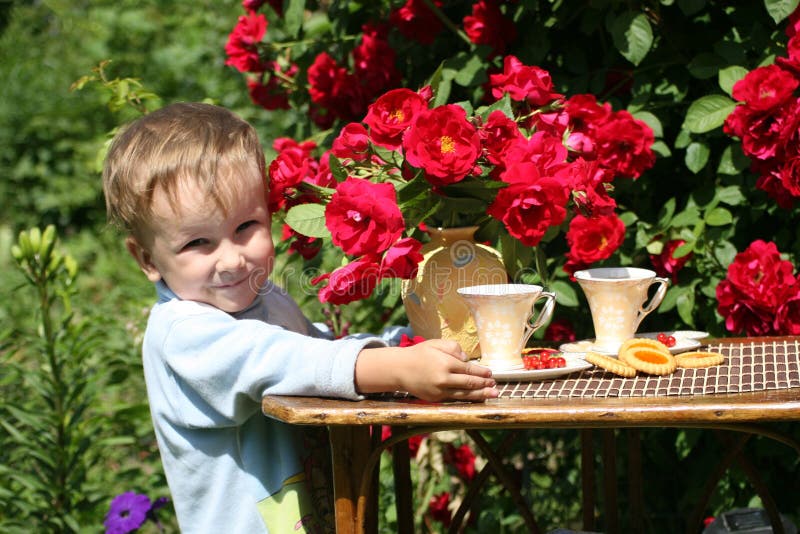 Summer tea in a garden stock photo. Image of floral, emotion - 9099198